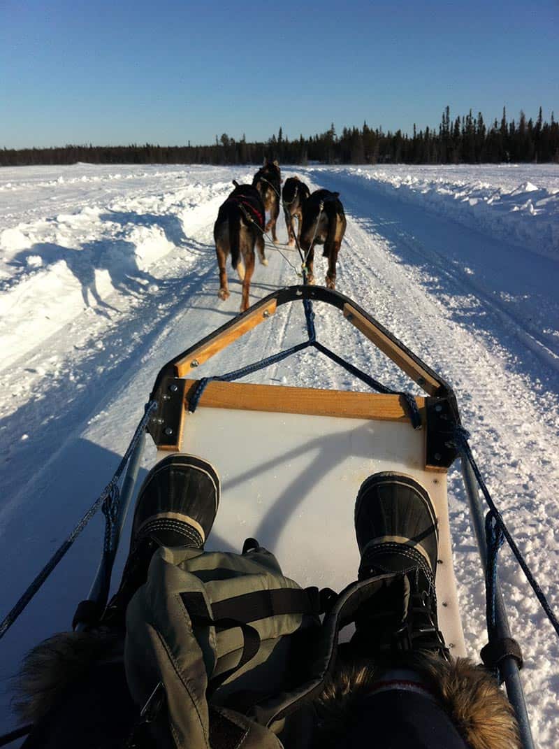 From Learning How to Throat Sing to Mushing A Dog Sled Team, The Most ...