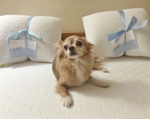 The Miracles of a Deep Fleep | Shedoesthecity