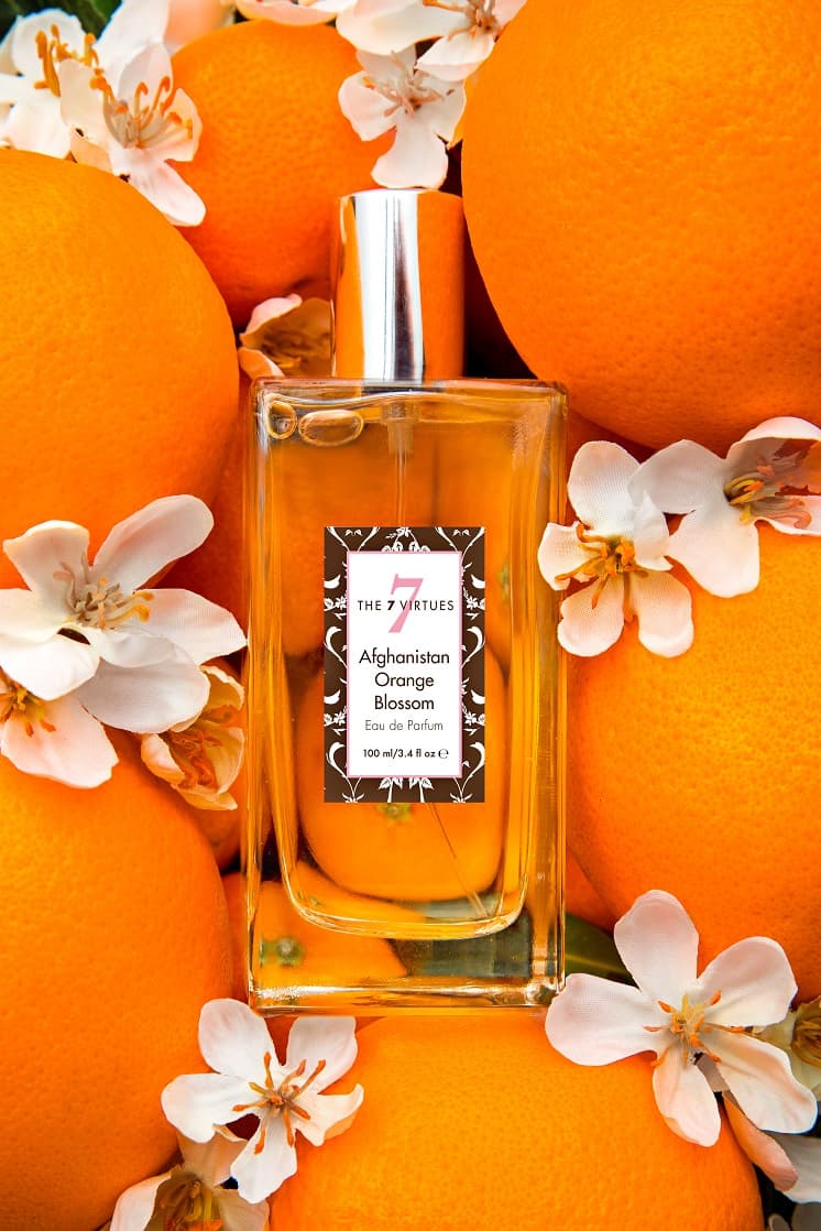 Perfume War: Barb Stegemann's '7 Virtues' And The Fight For Peace