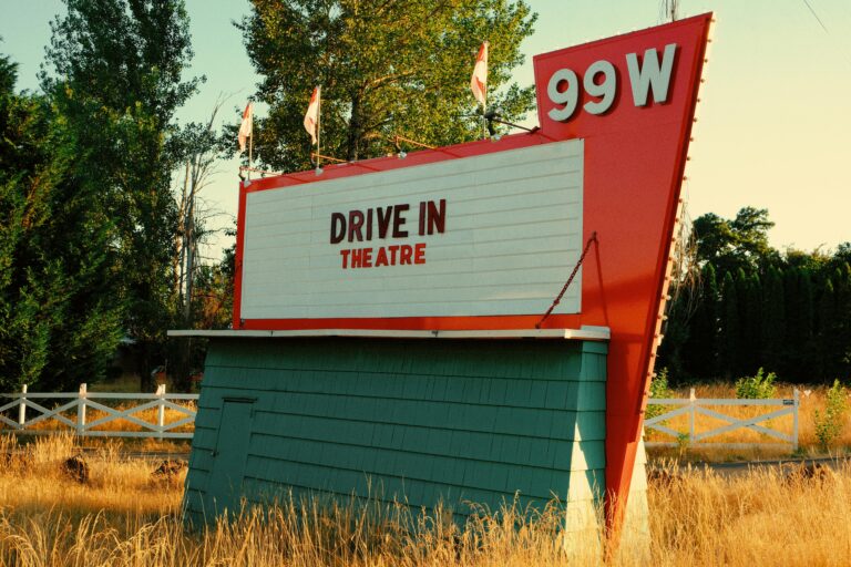 Our Favourite Ontario Drive-In Movie Theatres | SheDoesTheCity
